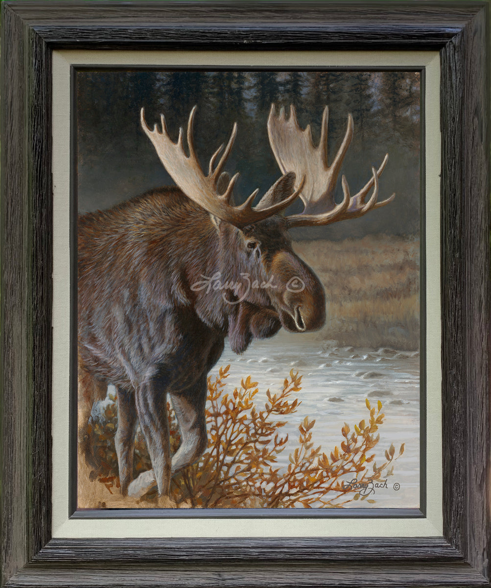 Gray Series – Larry Zach Wildlife Art