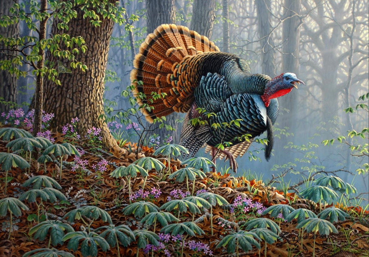 Original Paintings – Larry Zach Wildlife Art
