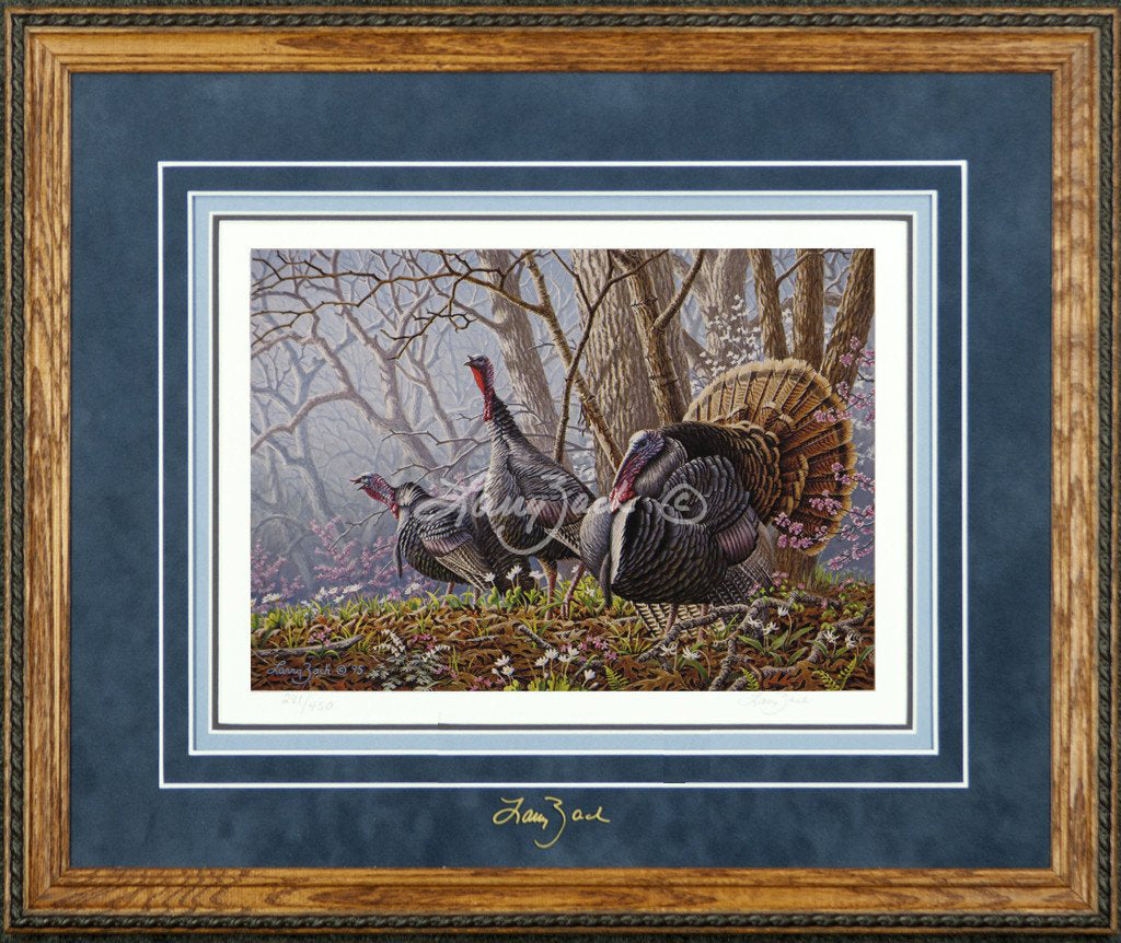 1995 Arkansas Turkey Stamp – Larry Zach Wildlife Art