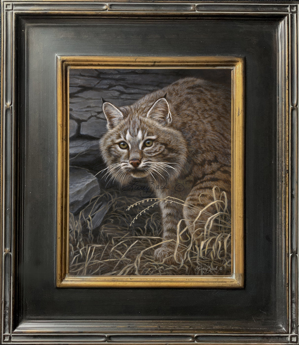 Portraits in Gray – Bobcat – Larry Zach Wildlife Art