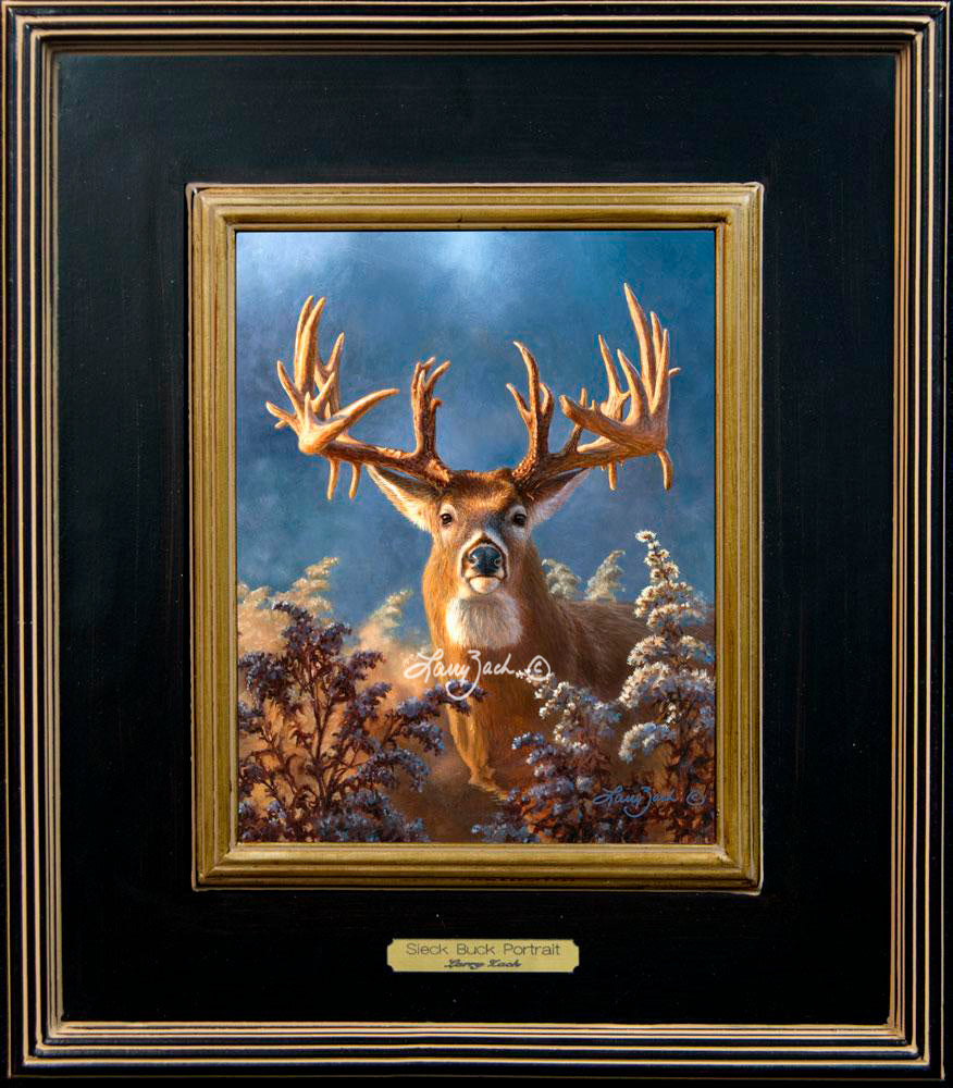 Sieck Buck Portrait – Larry Zach Wildlife Art