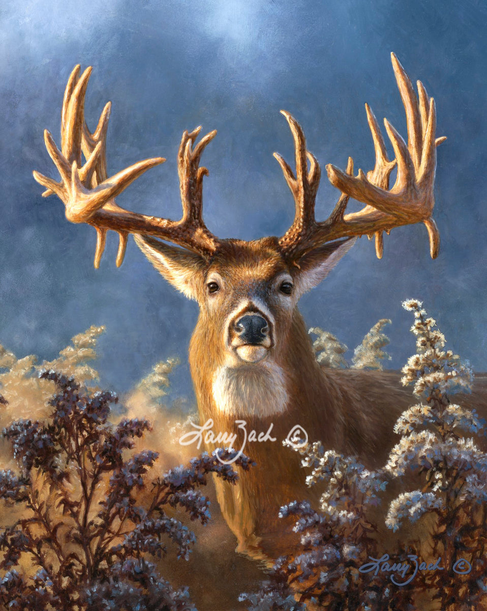 Sieck Buck Portrait – Larry Zach Wildlife Art